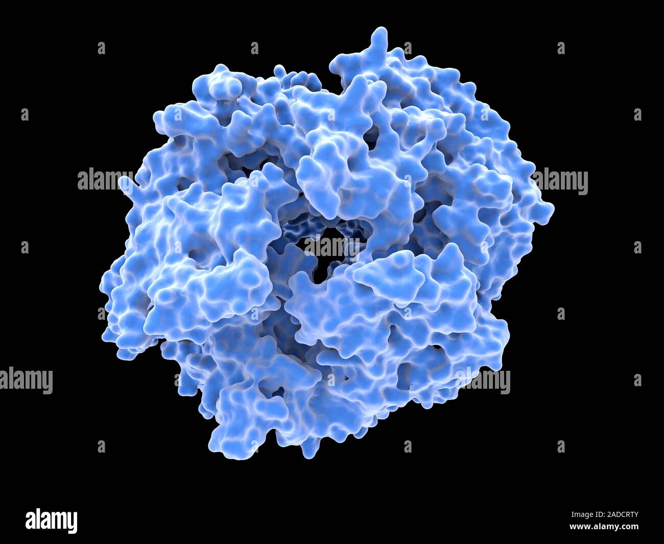 Human RNA exosome complex, molecular model. This multi-protein complex ...