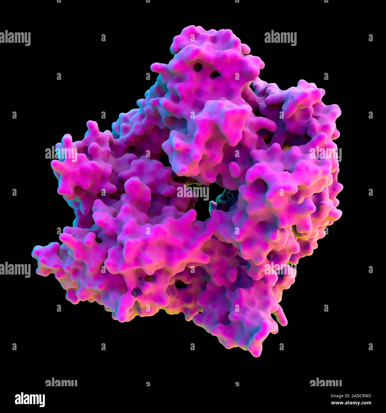 Human RNA exosome complex, molecular model. This multi-protein complex ...
