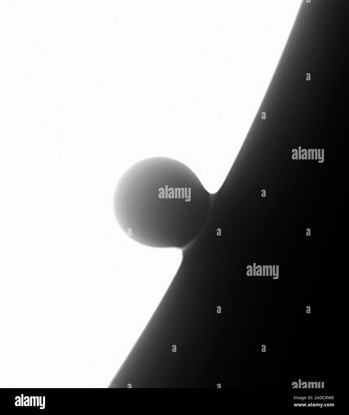 Transit of Venus, June 2012. Telescope view of the planet Venus (black ...