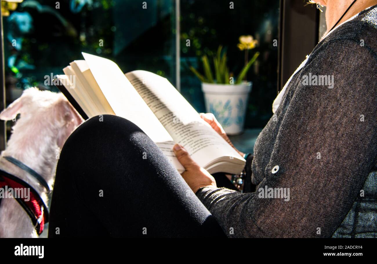 Woman reading a book at the window hi-res stock photography and images ...