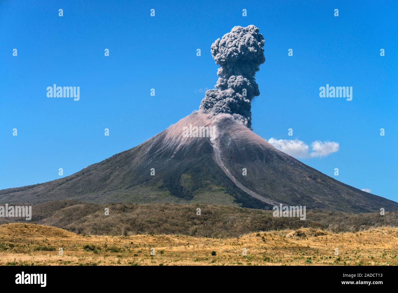 Eruption Of Momotombo Volcano February 2016 Ash Column Rising From