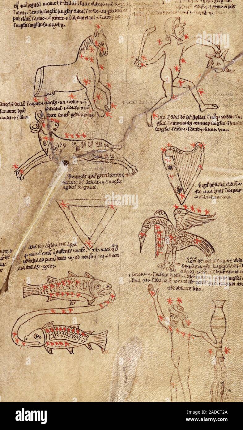 Medieval constellations. 13th-century manuscript page showing ...