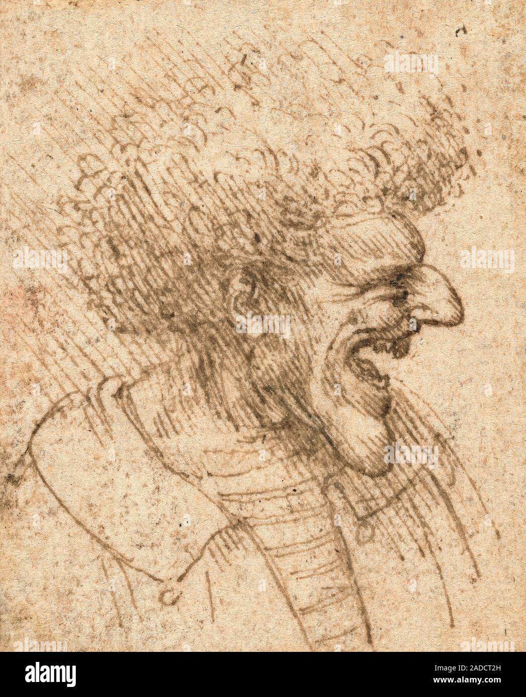 Caricature of a Man with Bushy Hair, 1495. This pen-and-brown ink ... Caricature of a Man with Bushy Hair, 1495. This pen-and-brown ink ...