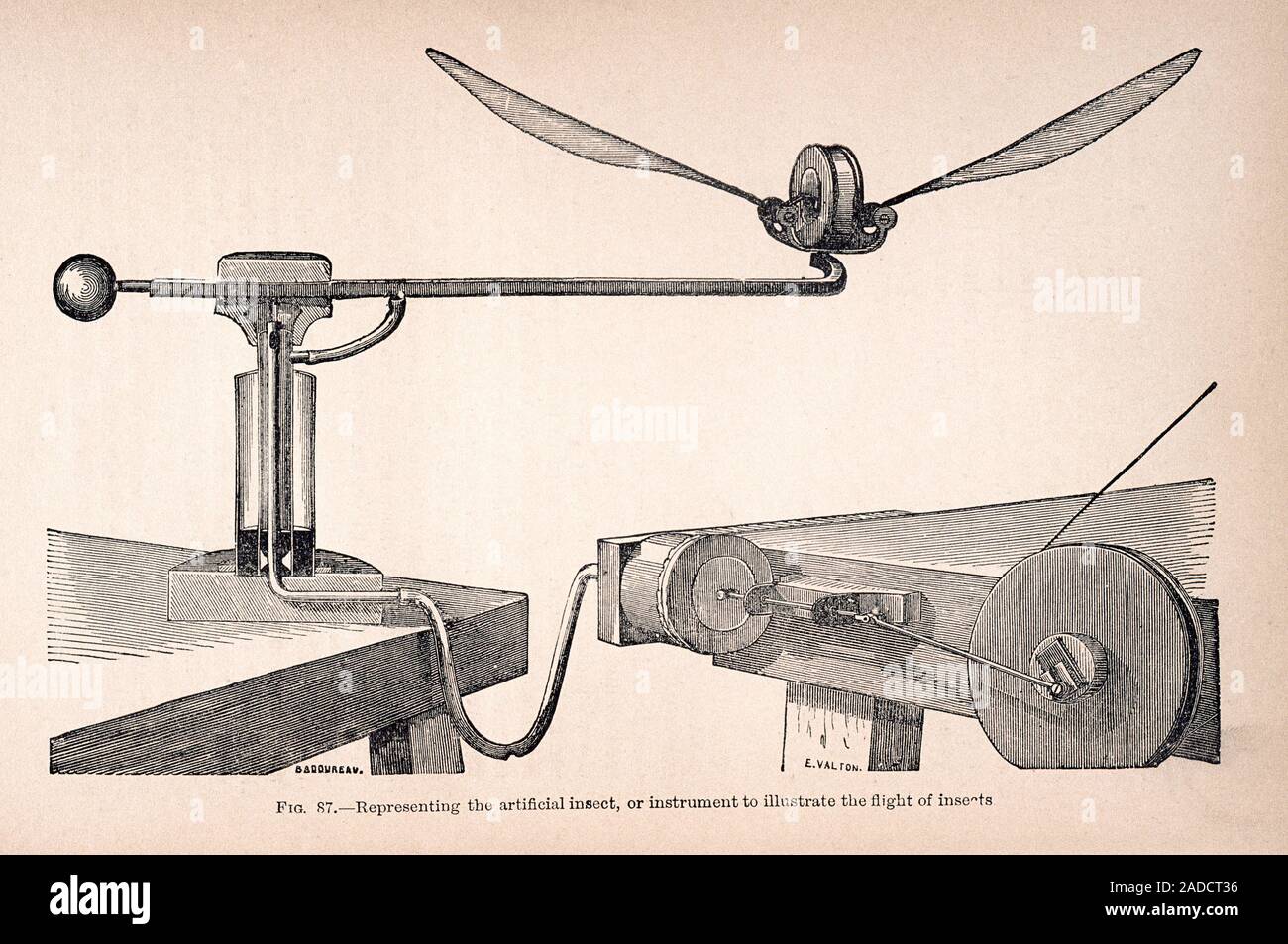 Artificial insect. 19th-century illustration of a mechanism ...