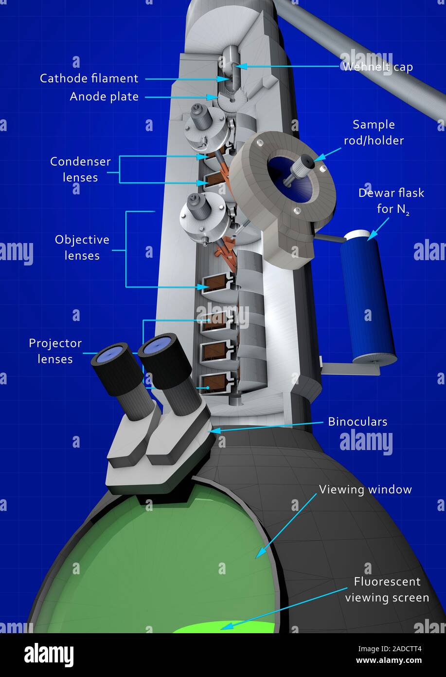 Transmission electron microscope (TEM), cut-away illustration. A TEM ...