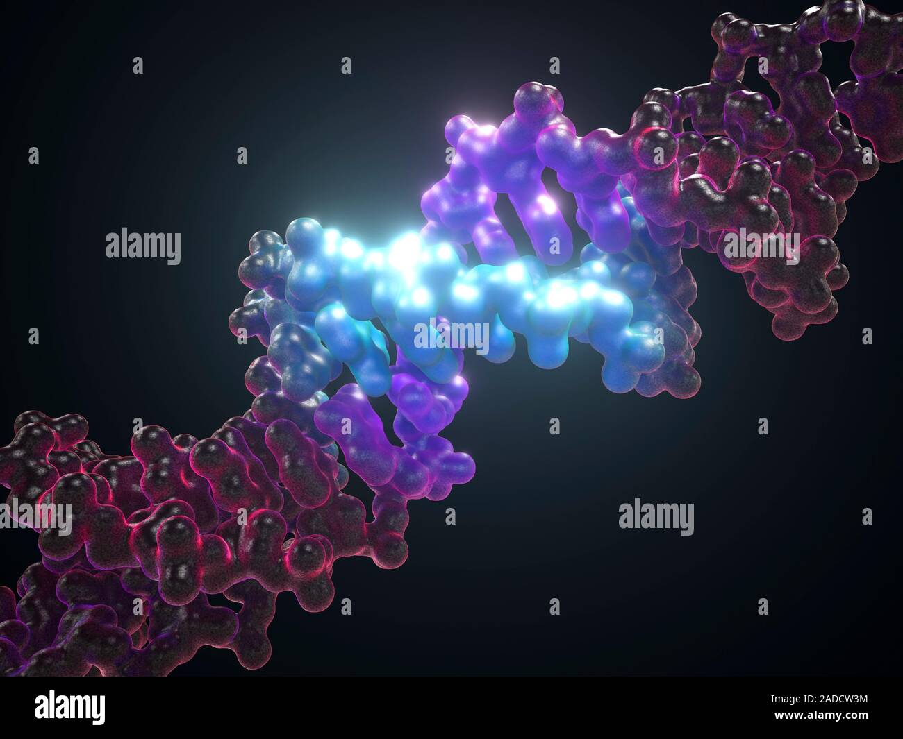 DNA editing, conceptual illustration. DNA (deoxyribonucleic acid) is ...