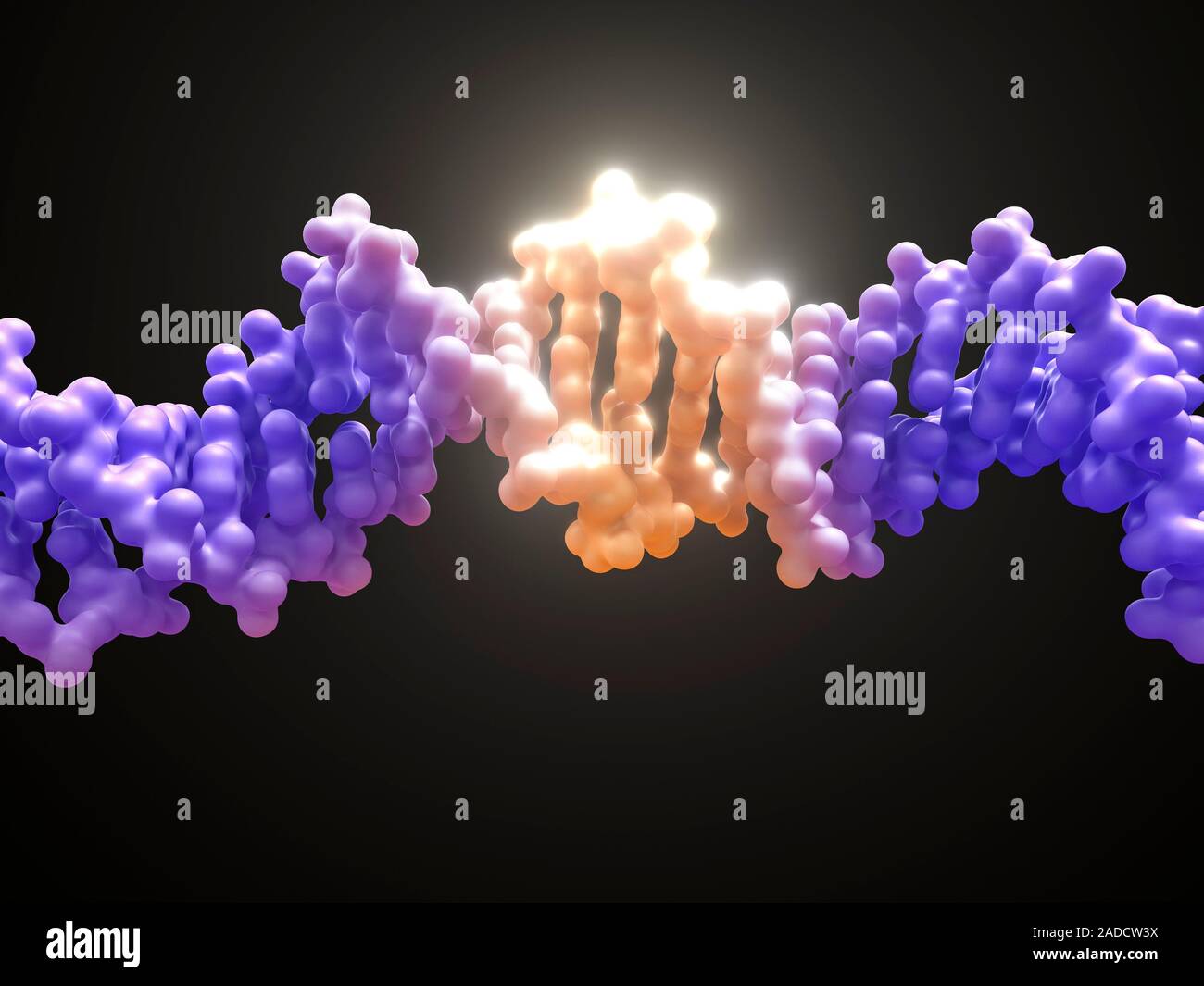 DNA editing, conceptual illustration. DNA (deoxyribonucleic acid) is ...