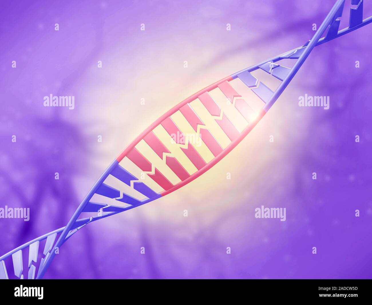 DNA editing, conceptual illustration. DNA (deoxyribonucleic acid) is ...