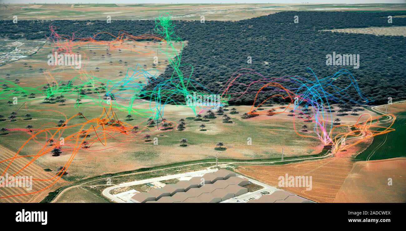 Birds dispersing seeds. Illustration visualising bird deposition events ...