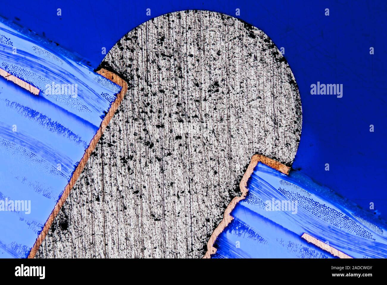Light micrograph of a section through a computer multilayer printed ...