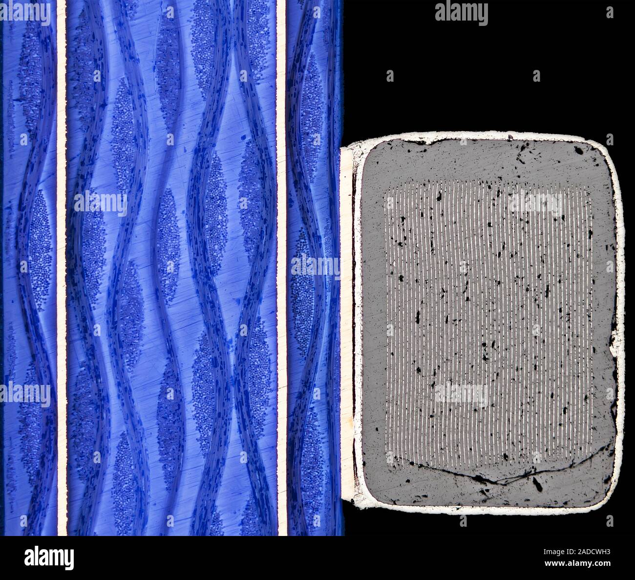 Light micrograph of a section through a computer's printed circuit ...