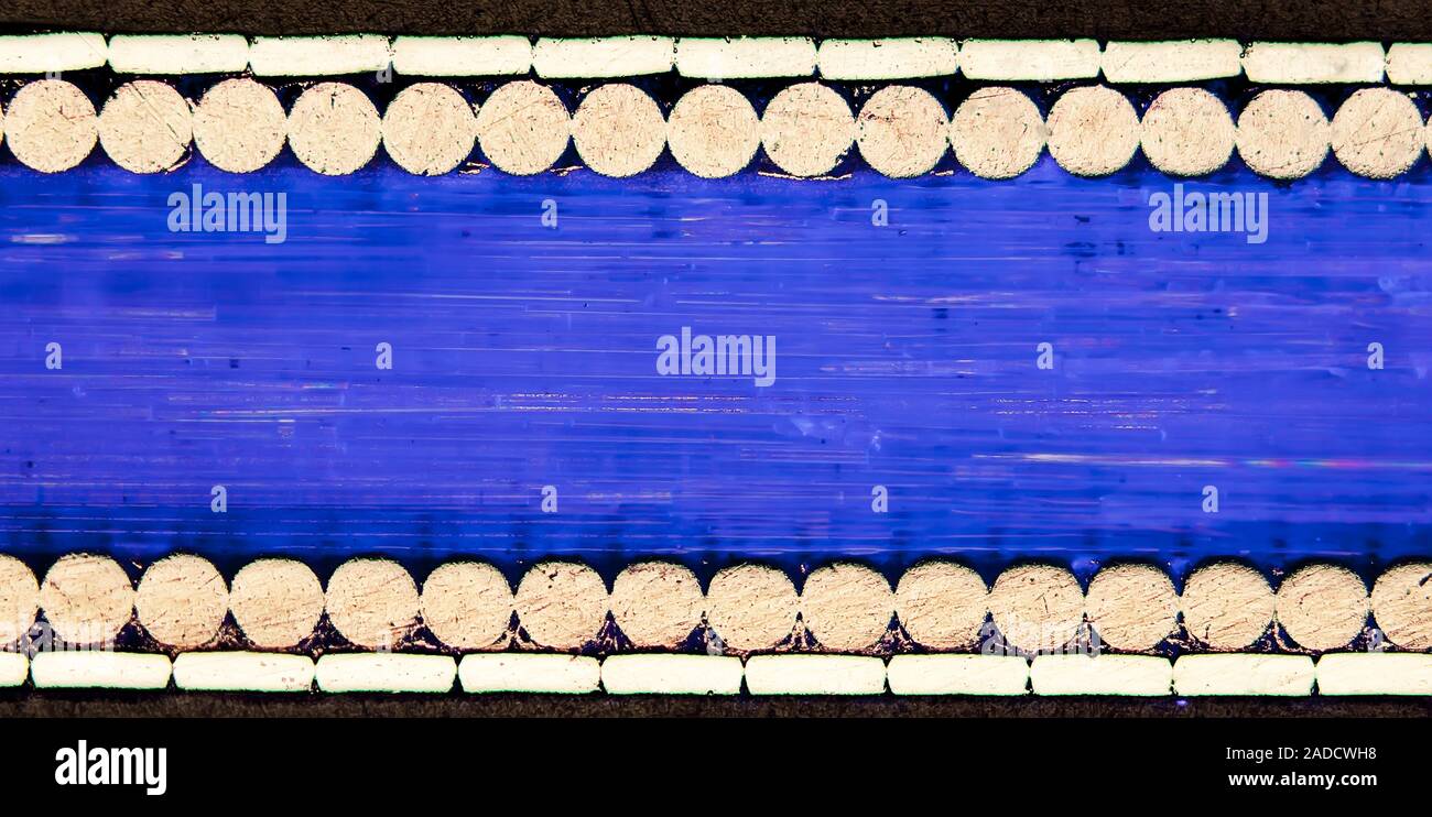 Light micrograph of a longitudinal section through a cello D string ...
