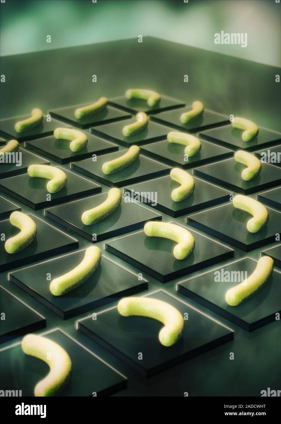Bacterial growth experiment. Illustration showing the growth and ...