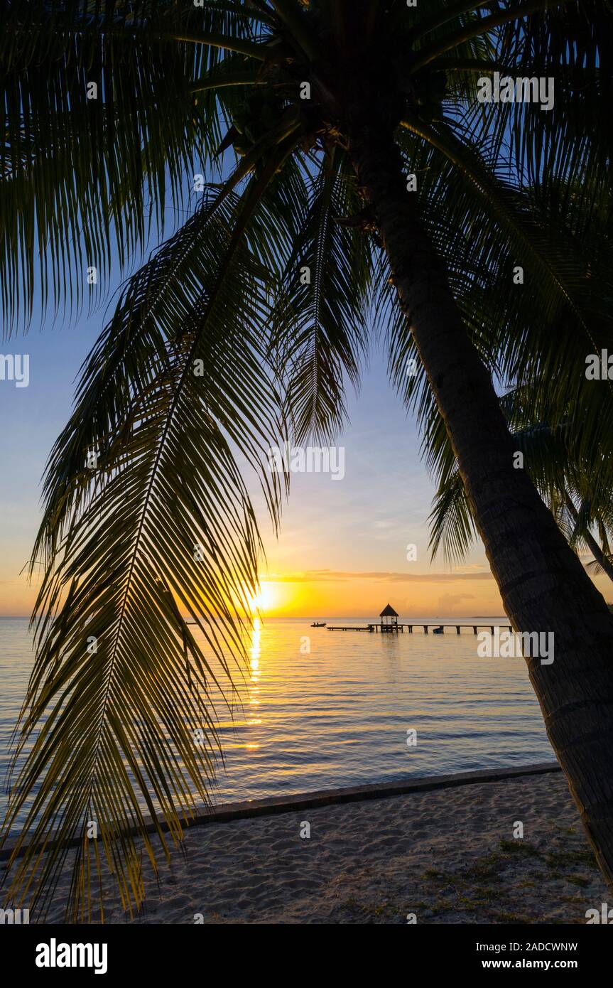 Tropical beach at sunset. Photographed on Rangiroa, French Polynesia ...