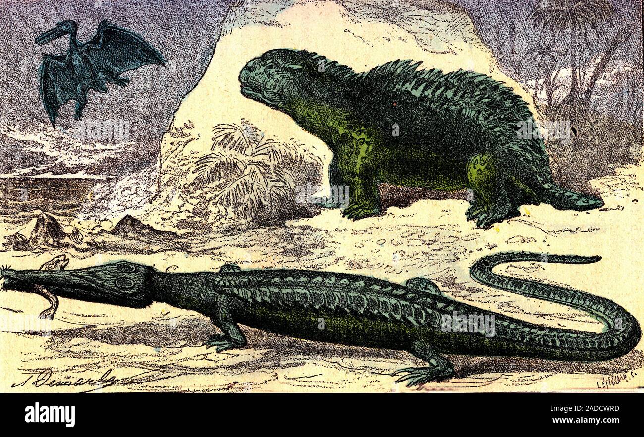Prehistoric reptiles. 1885 illustration by A. Demarle, showing three ...