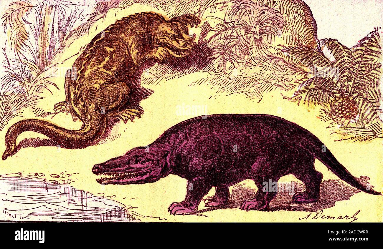 Cretaceous animals. 1885 illustration by A. Demarle, showing two ...