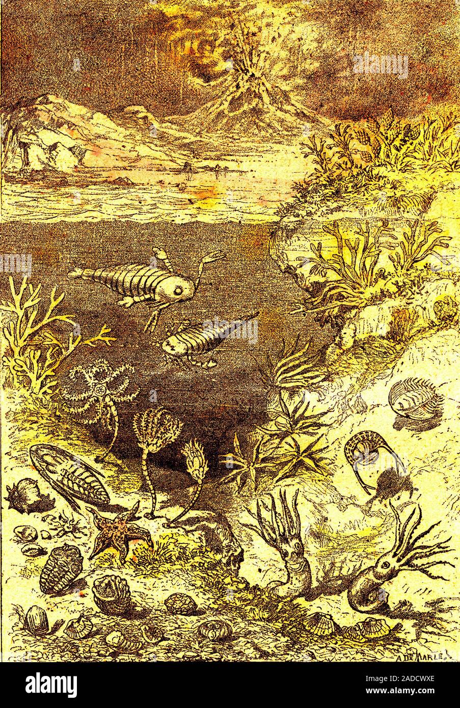Prehistoric sea animals. 1885 illustration by A. Demarle of a ...