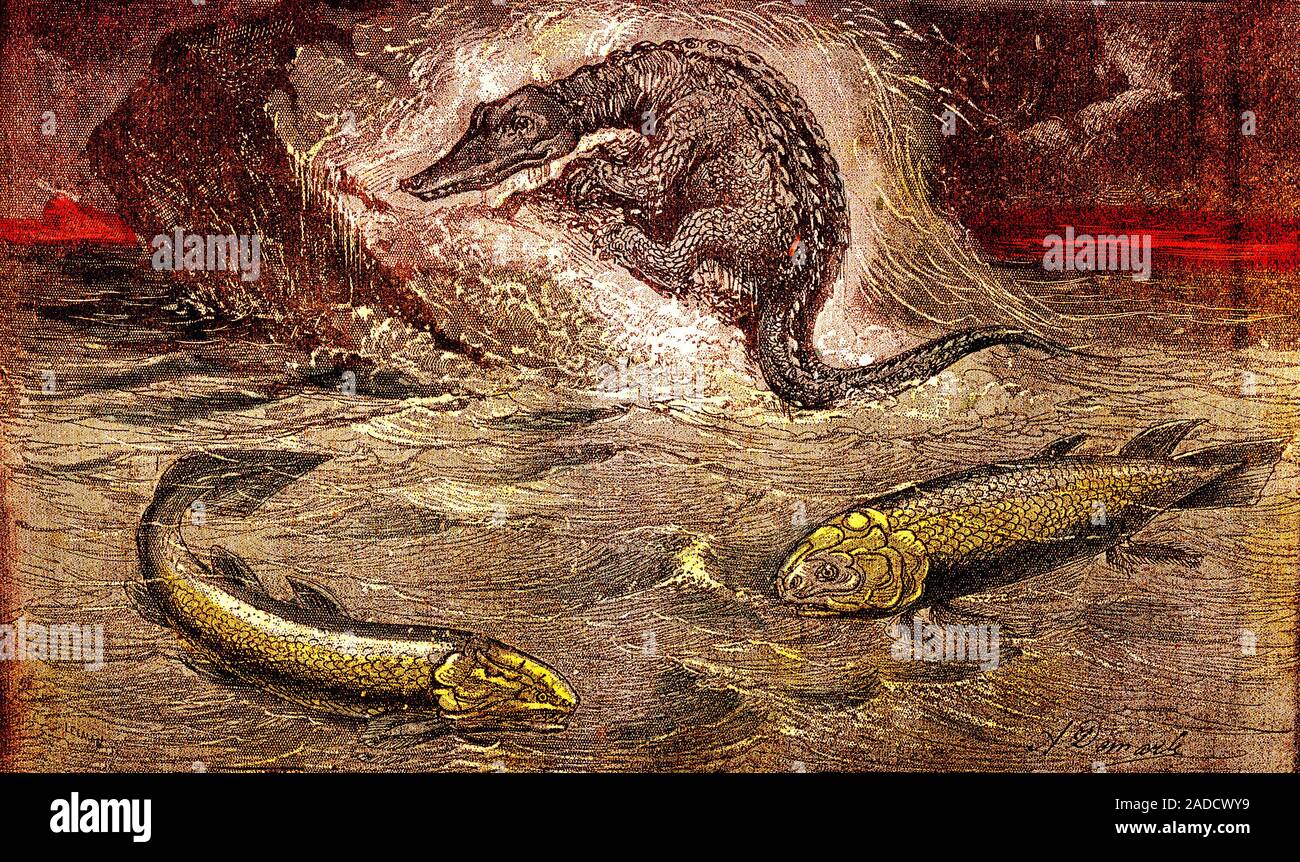 Evolution of reptiles, conceptual image. 1885 illustration by A ...