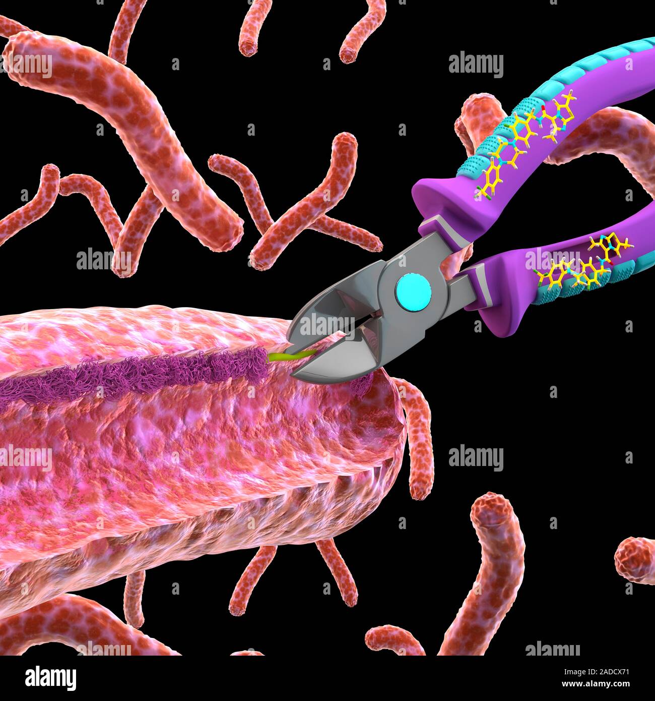 Tuberculosis treatment, conceptual illustration. Some strains of the ...