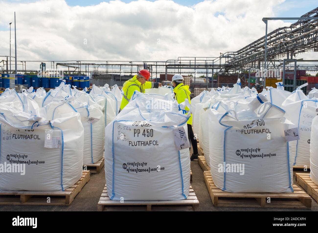CalaChem chemical factory. Workers checking sacks of flutriafol ...