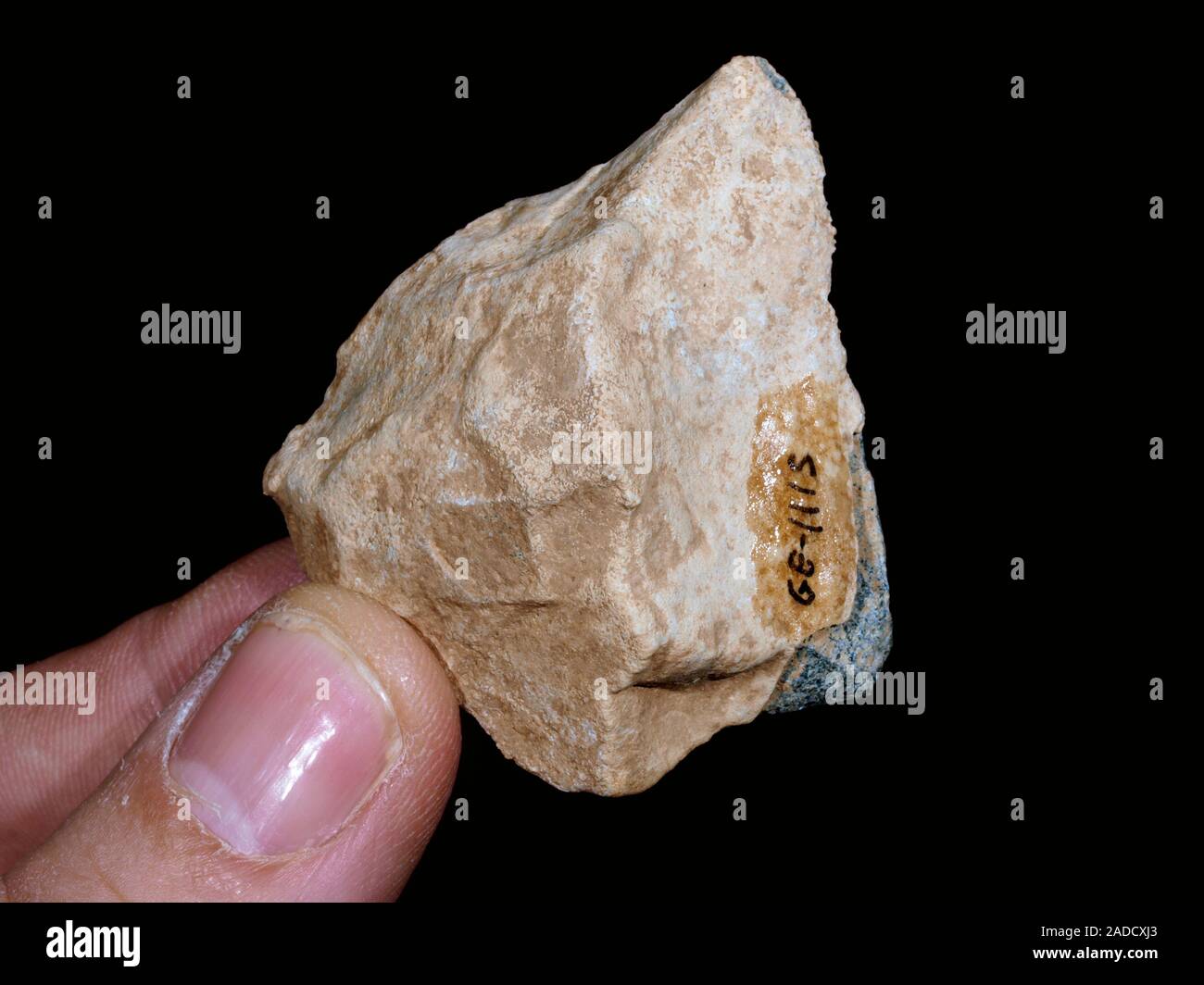 Prehistoric stone tool from Galeria site. Excavations at this site ...