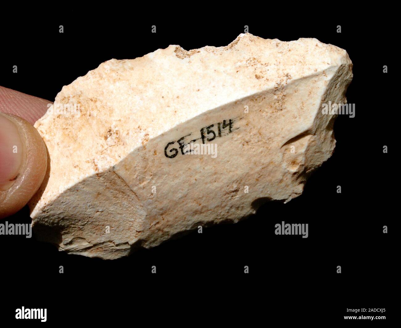 Prehistoric stone tool from Galeria site. Excavations at this site ...
