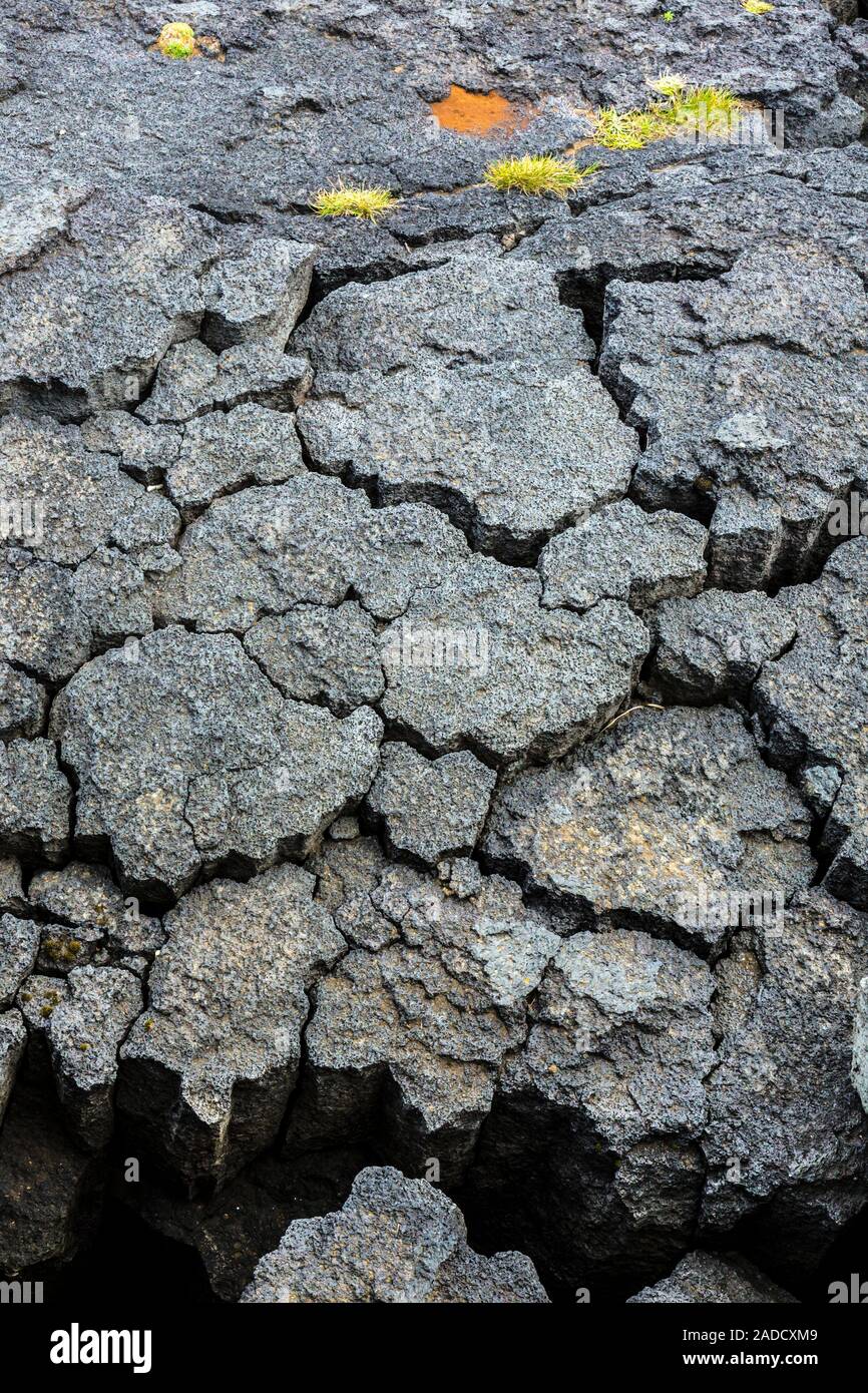 A lava flow in the 13th century, the Stampa eruption, meets the sea and ...
