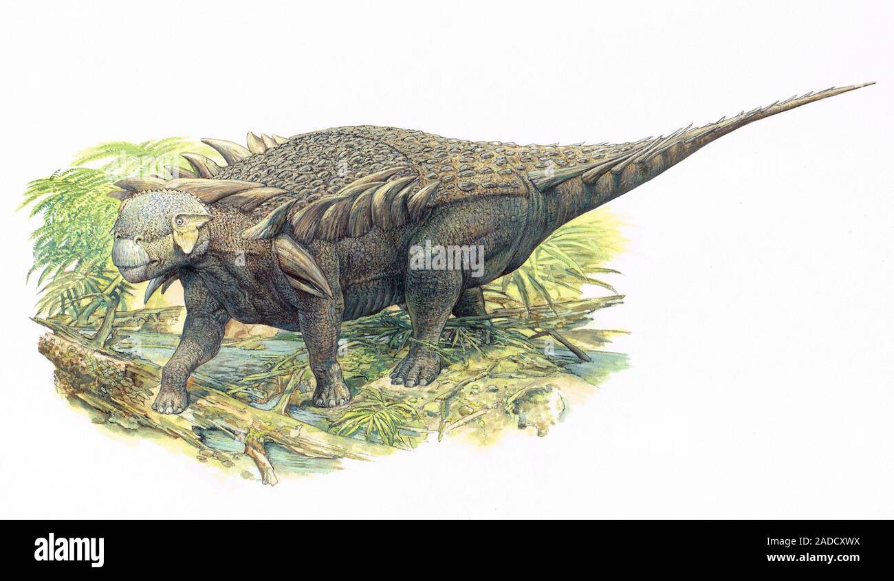 Horshamosaurus dinosaur, illustration. This herbivorous ankylosaur ...