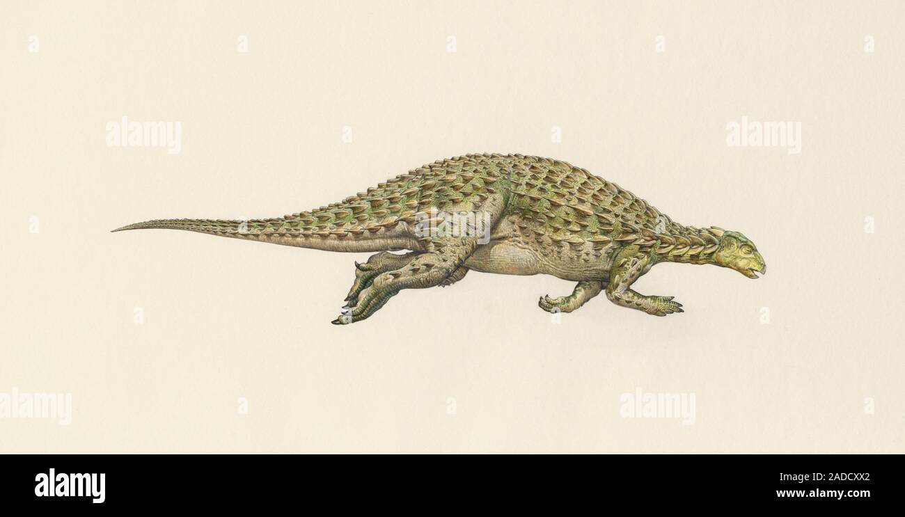 Scelidosaurus dinosaur. Illustration of a juvenile Scelidosaurus ...