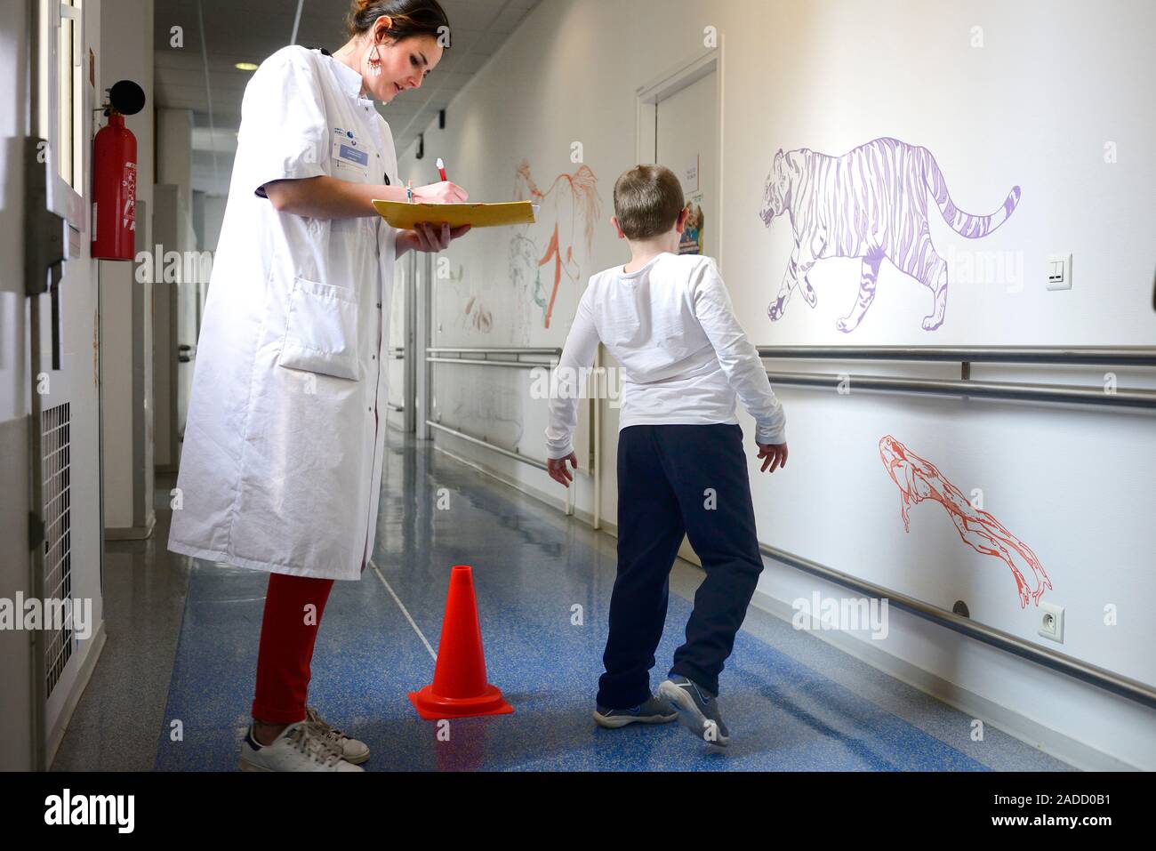 Muscular dystrophy testing. 10-year-old patient with Duchenne muscular ...
