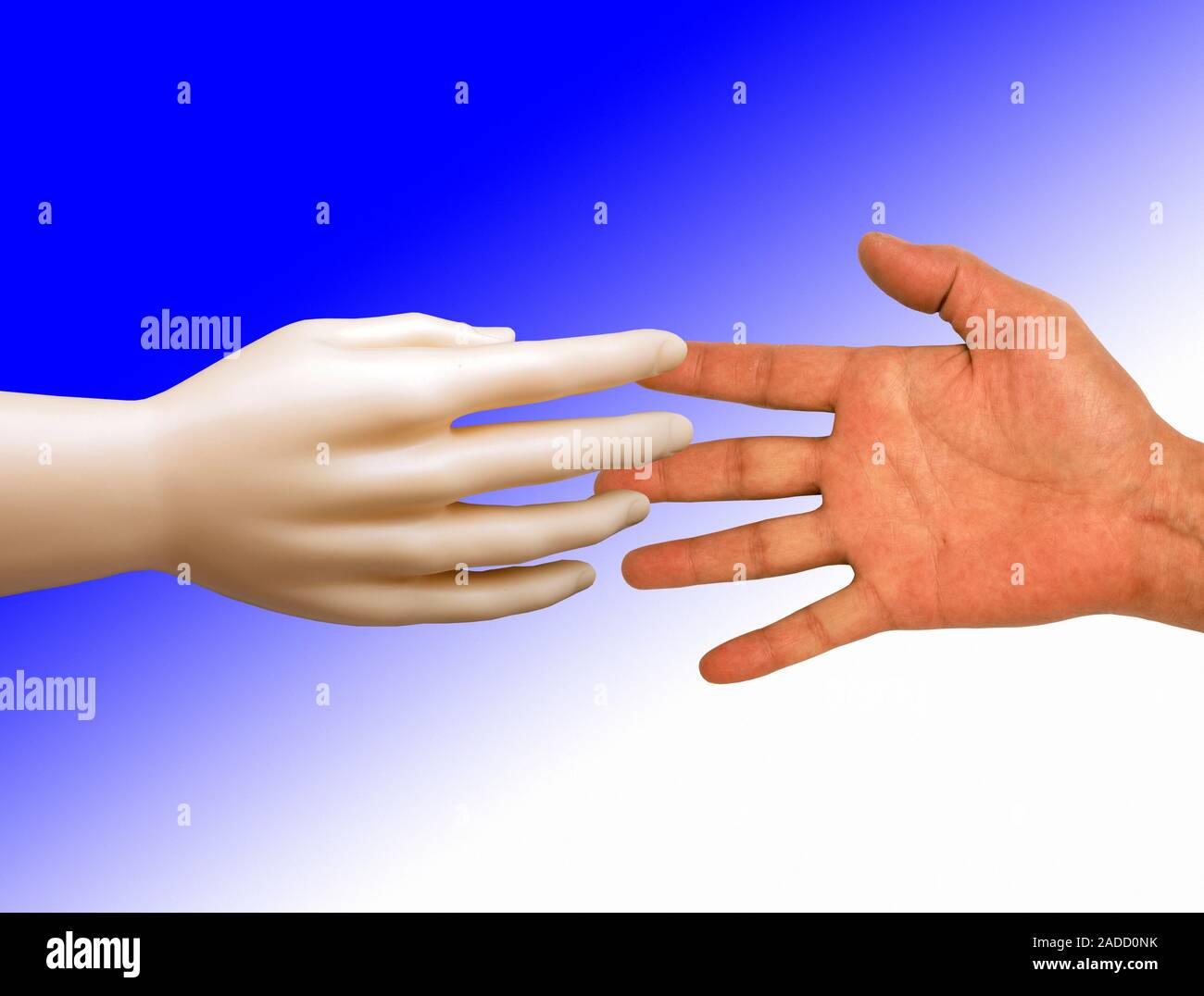 Artificial hand reaching out to a human hand Stock Photo - Alamy