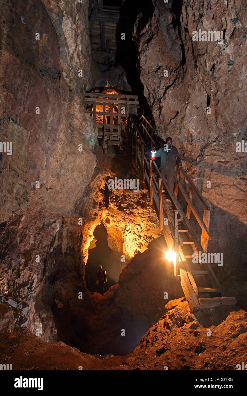 Palaeoanthropologists in Sterkfontein Caves, South Africa ...