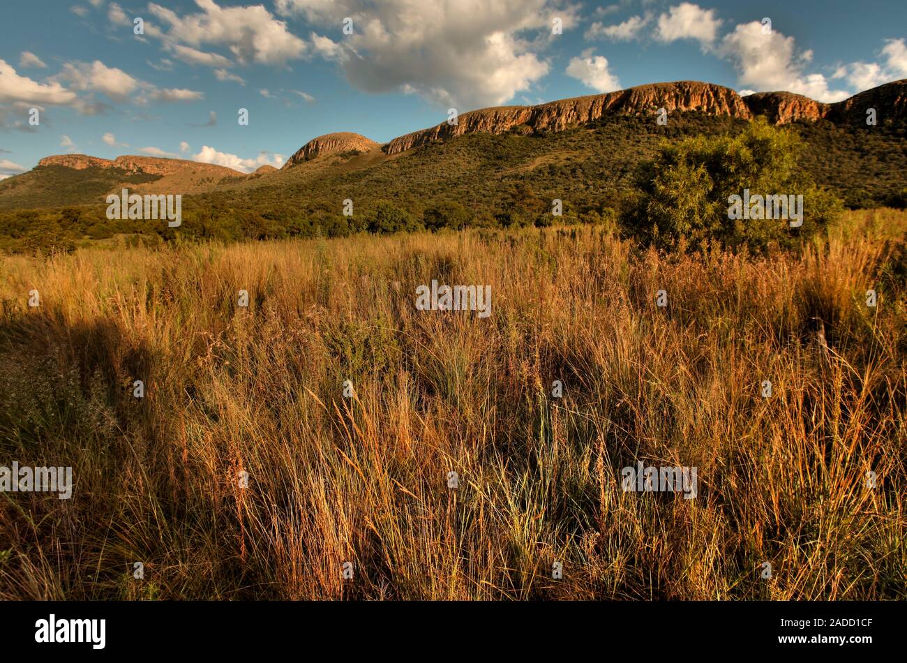The Cradle of Humankind. This landscape, known as the Cradle of ...
