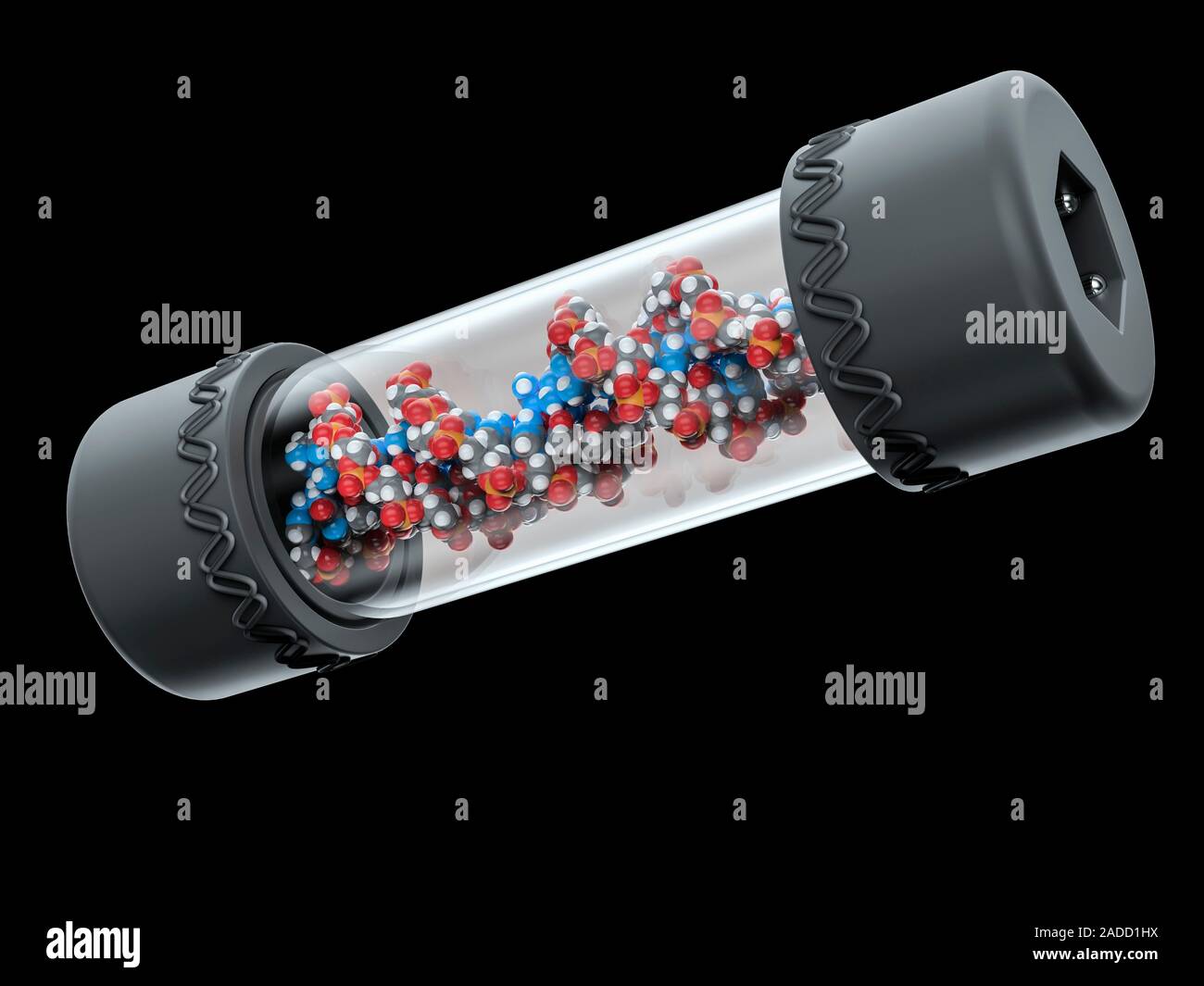 Conceptual illustration of a double stranded DNA (deoxyribonucleic acid ...