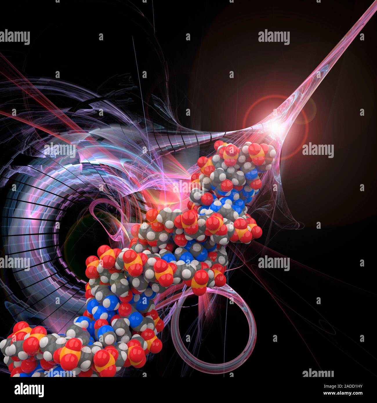 Conceptual illustration of a double stranded DNA (deoxyribonucleic acid ...