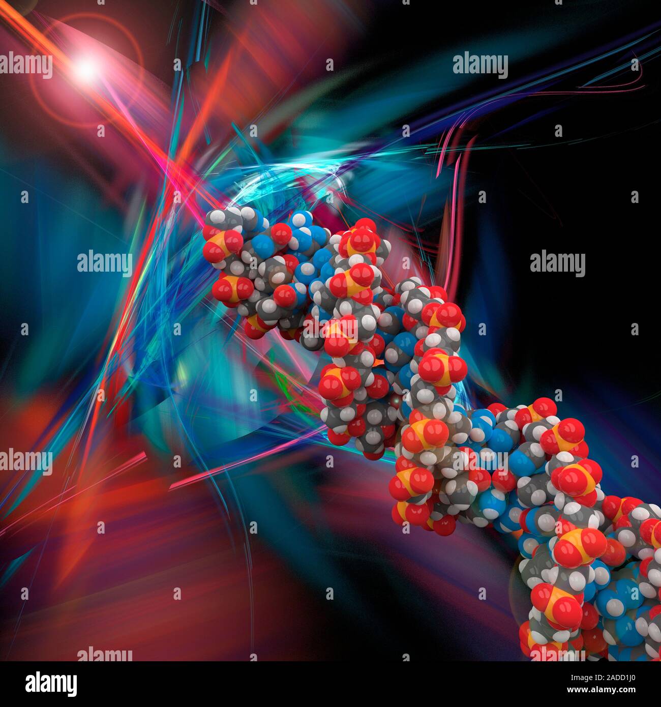 Conceptual illustration of a double stranded DNA (deoxyribonucleic acid ...