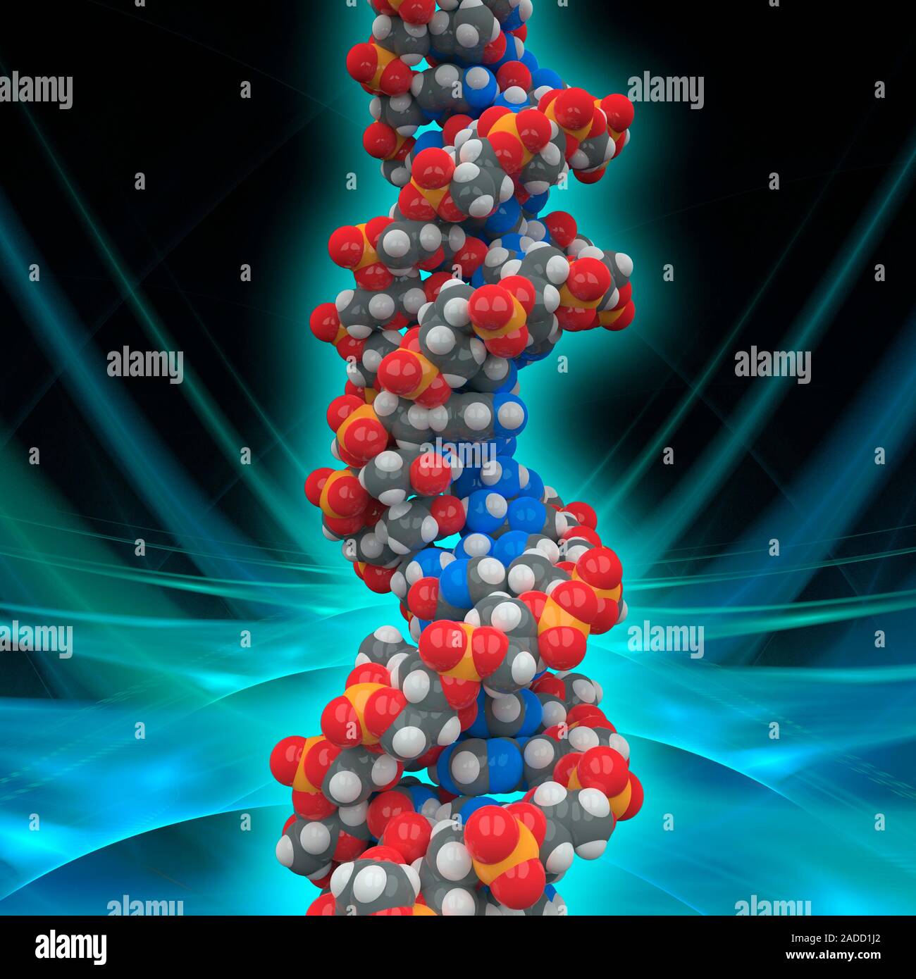 Conceptual illustration of a double stranded DNA (deoxyribonucleic acid ...