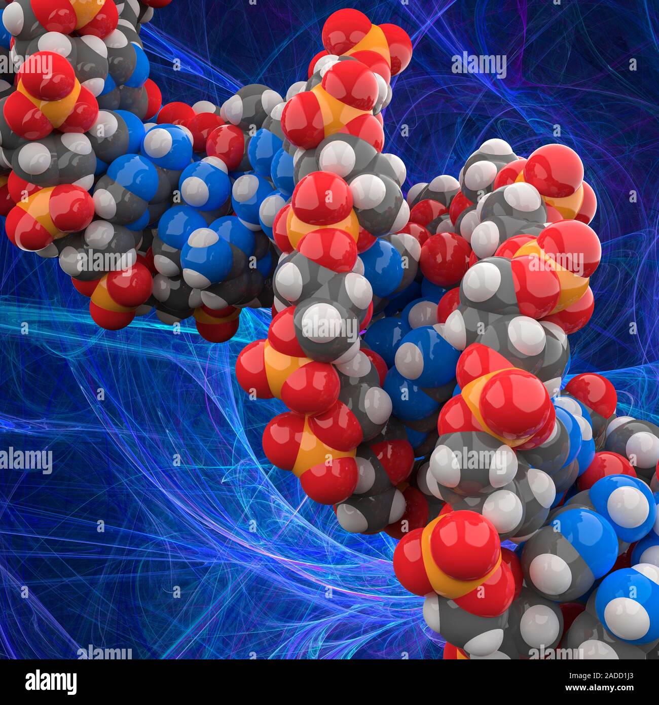 Conceptual illustration of a double stranded DNA (deoxyribonucleic acid ...