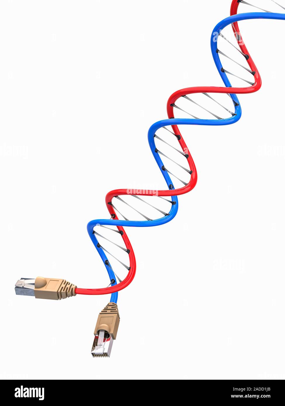 Conceptual illustration depicting a DNA (deoxyribonucleic acids) model ...