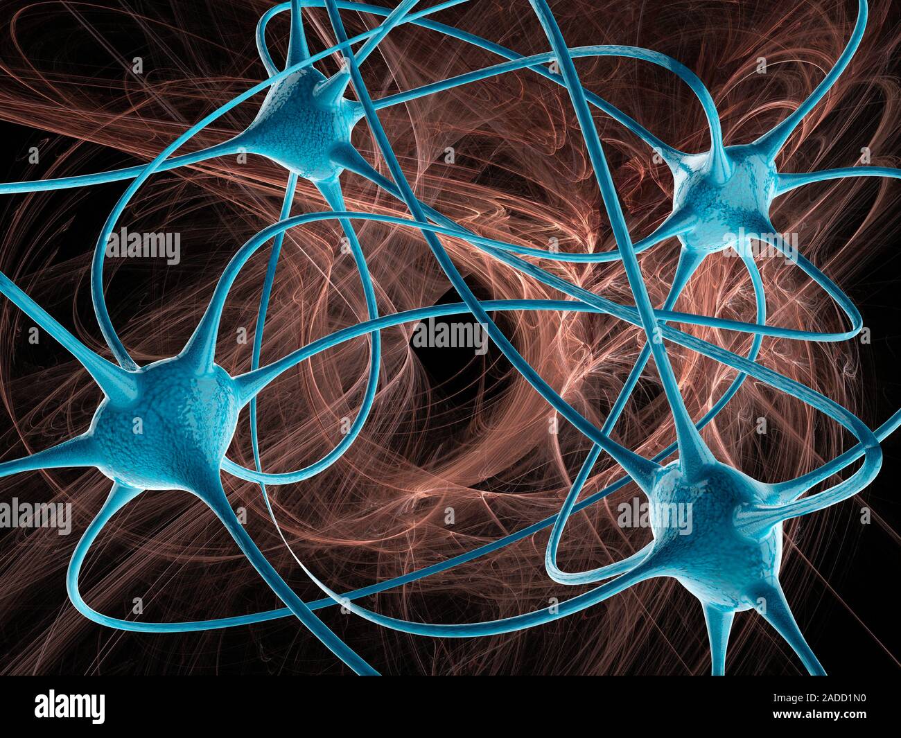 Four-cell neural network, computer illustration. A neural network is ...