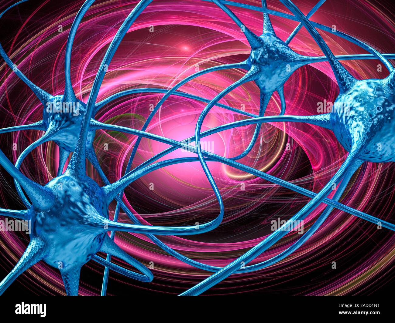 Four-cell neural network, computer illustration. A neural network is ...