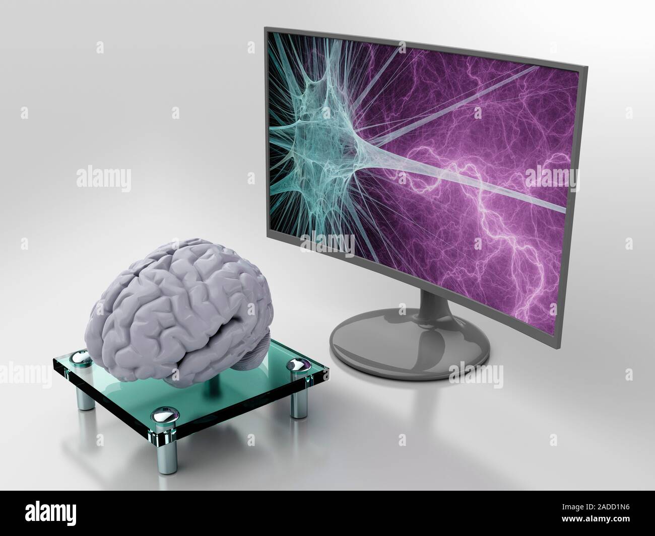 Human brain in front of a computer monitor displaying an abstract ...
