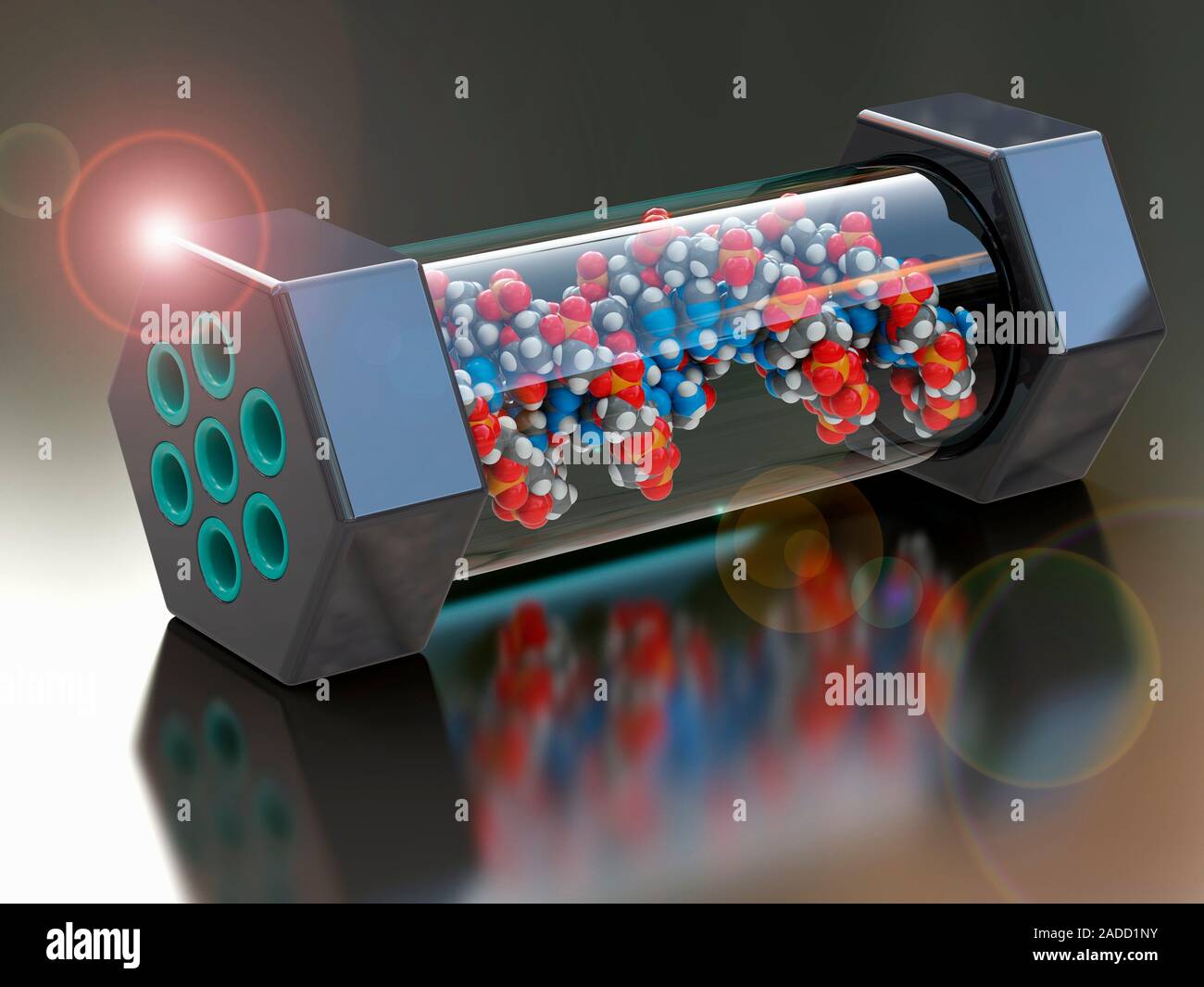 Conceptual illustration of a double stranded DNA (deoxyribonucleic acid ...