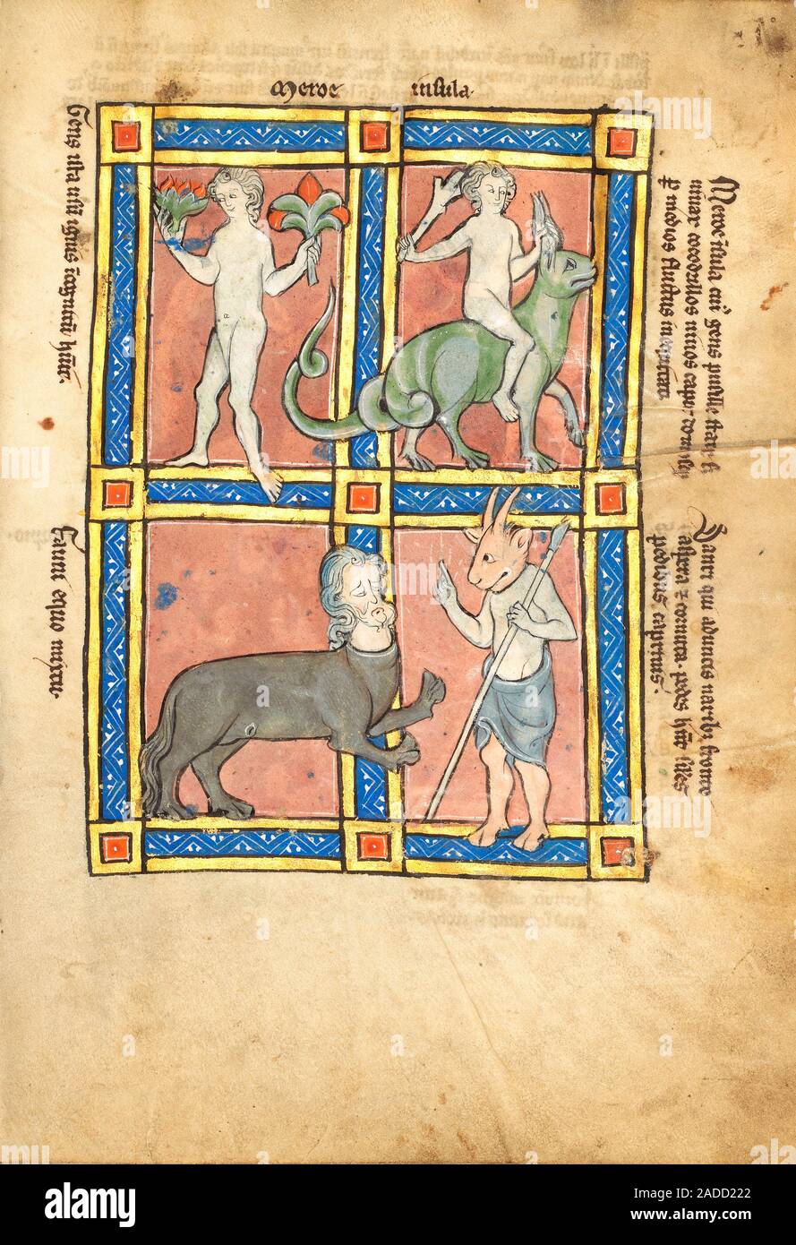 Mythical monstrous races of humans, 13th century. This depiction of ...