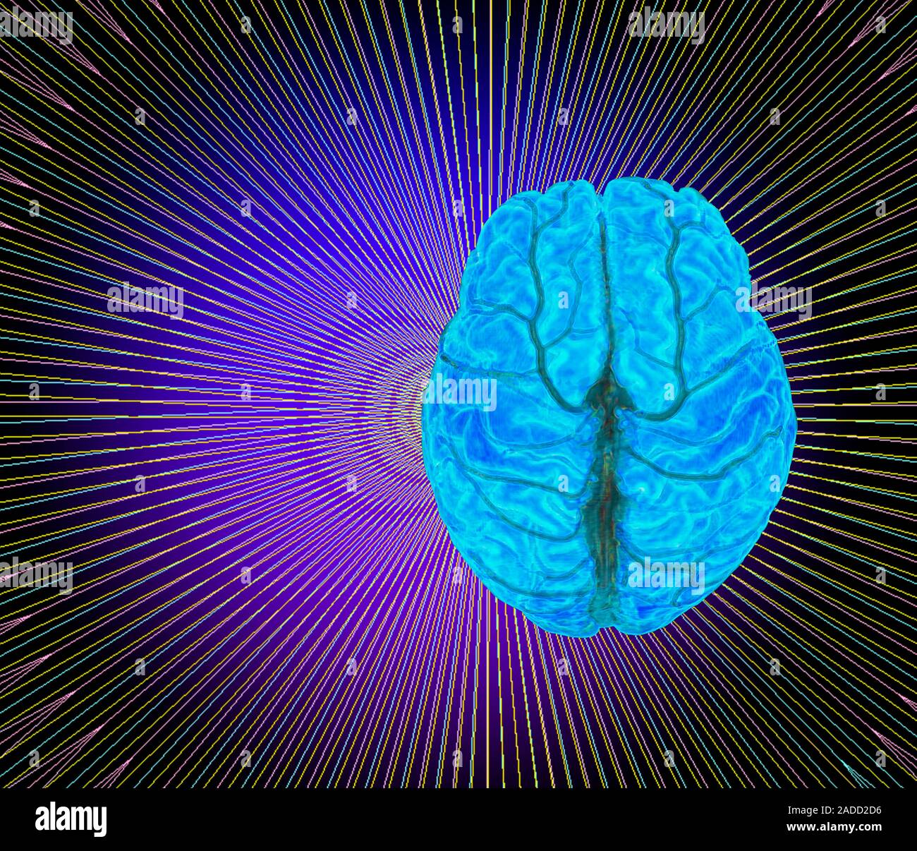 Human brain and abstract background, coloured 3D magnetic resonance imaging (MRI) scan. The ...