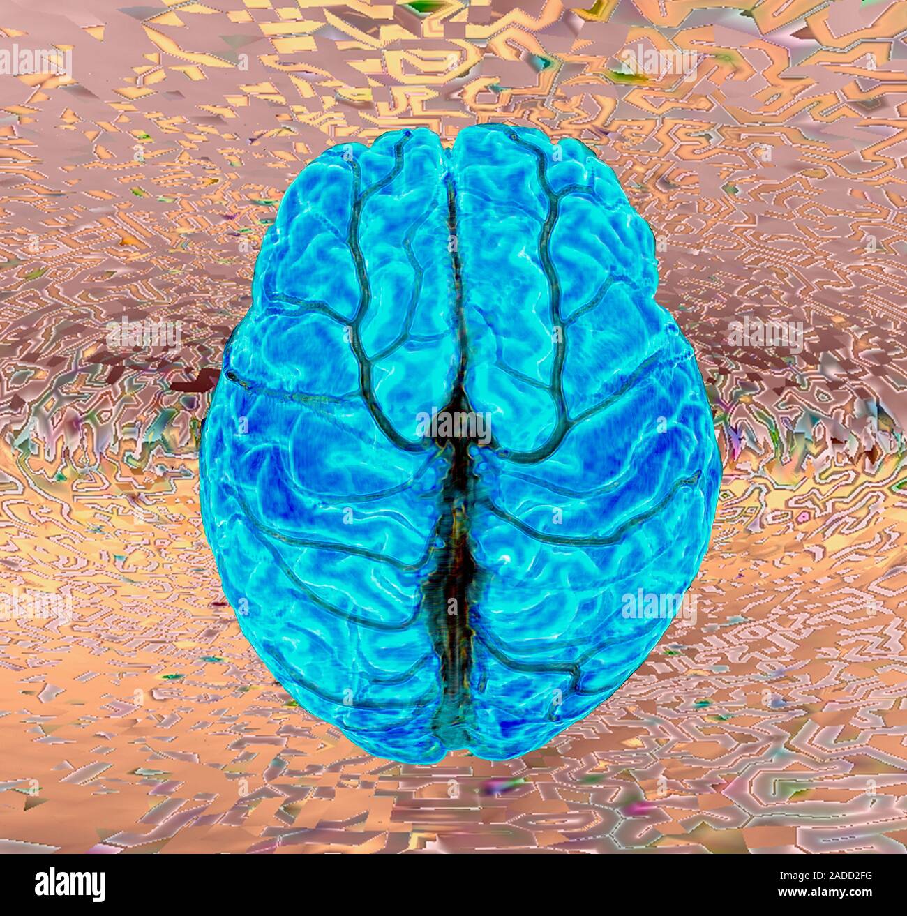 Human brain and abstract background, coloured 3D magnetic resonance imaging (MRI) scan. The ...