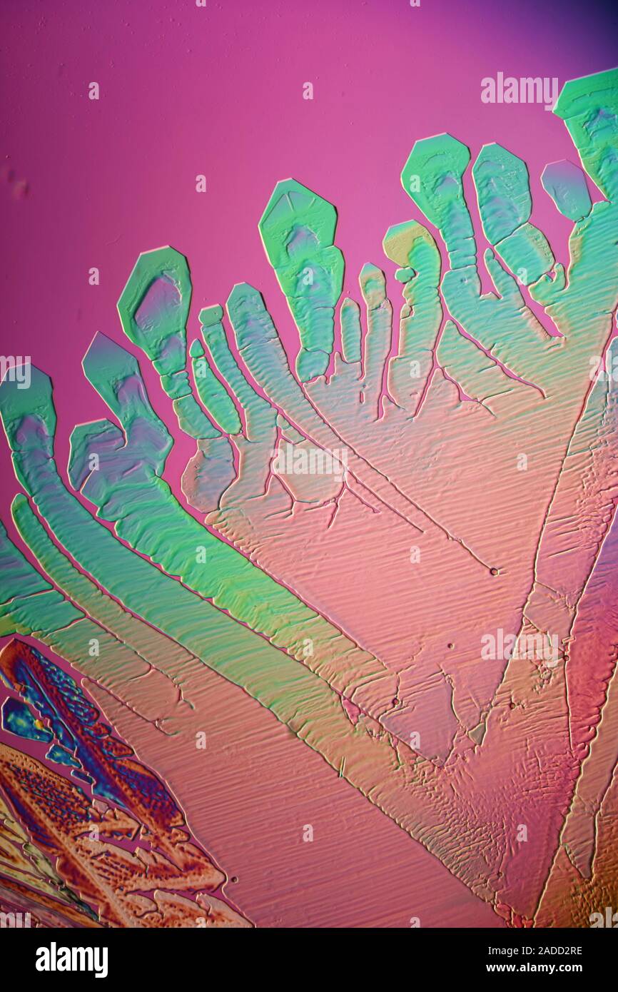 Nickel nitrate crystals, polarised light micrograph. Nickel nitrate is ...