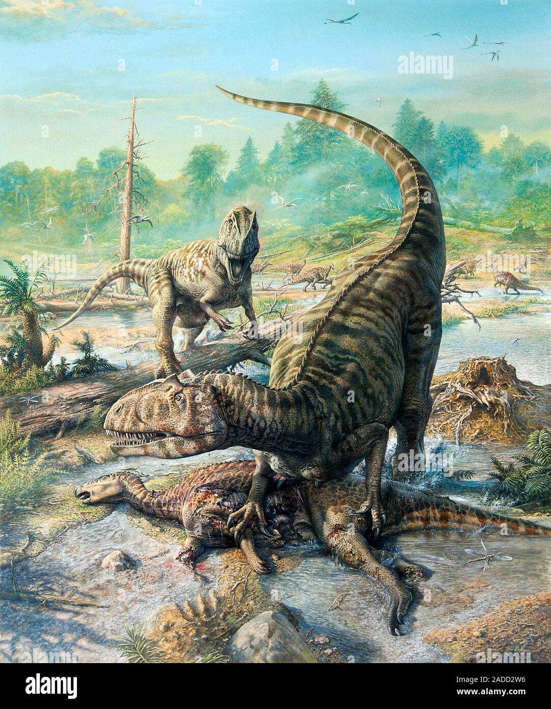 Allosaurus dinosaur with its prey. Illustration of the dinosaur ...