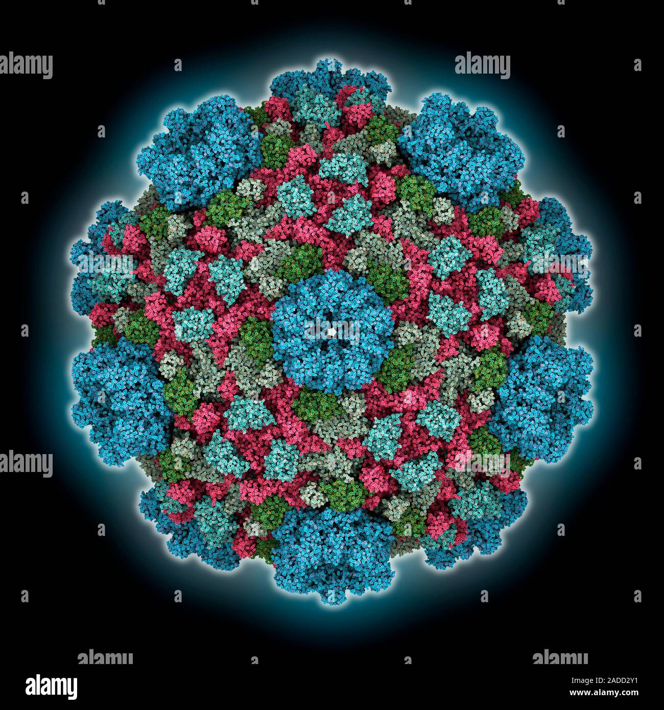 Cytoplasmic polyhedrosis virus capsid. Computer model showing the ...