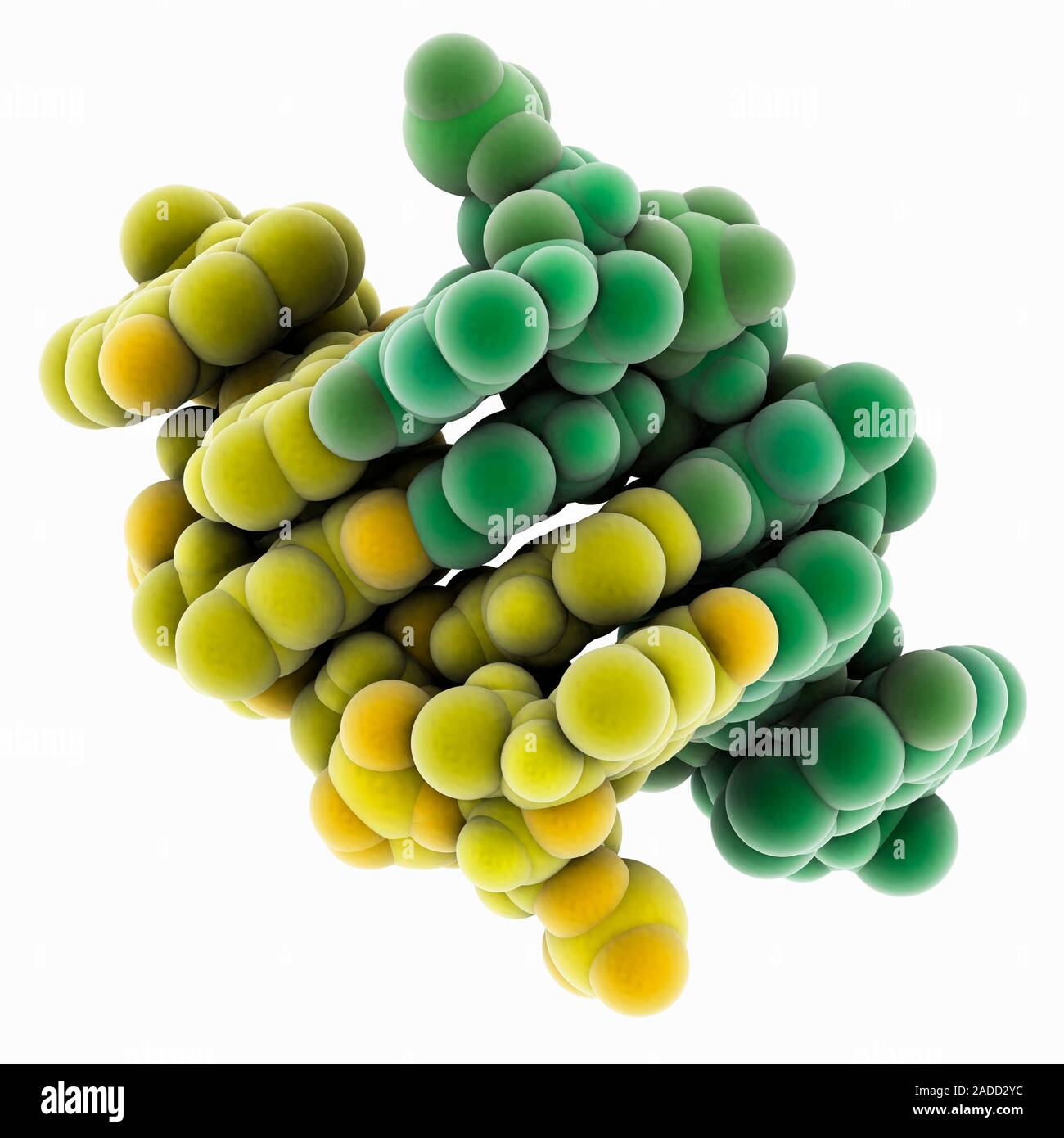 Z-DNA (deoxyrobinucleic acid). Computer model showing the structure of ...